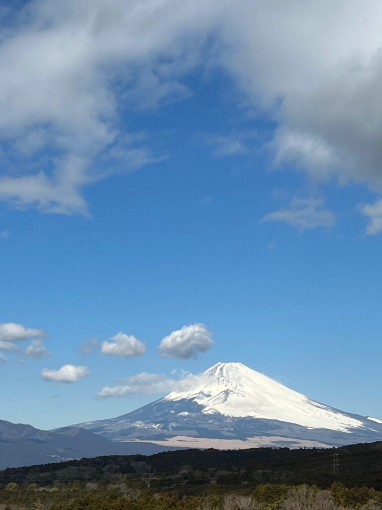 司法書士SAHASHI法務事務所 - 司法書士 SAHASHI 法務事務所